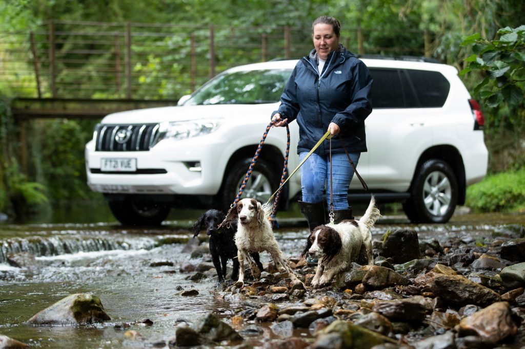 Paws for Conservation: how a Land Cruiser is helping to save animals ...