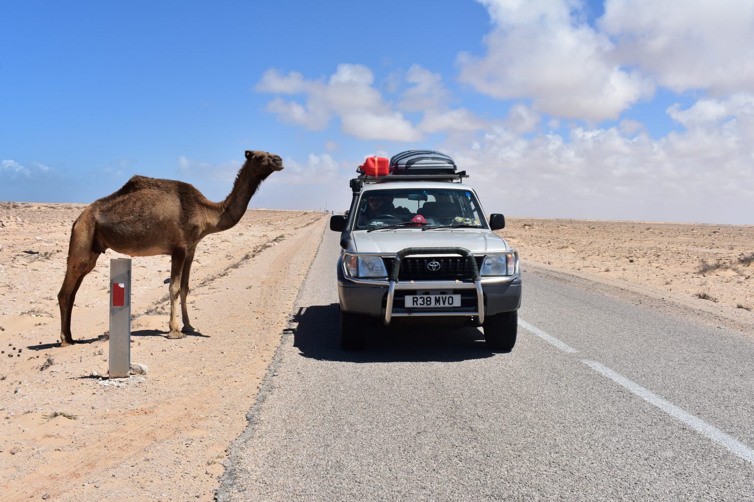 Land Cruiser adventure: from Orkney to Zimbabwe - Toyota UK Magazine