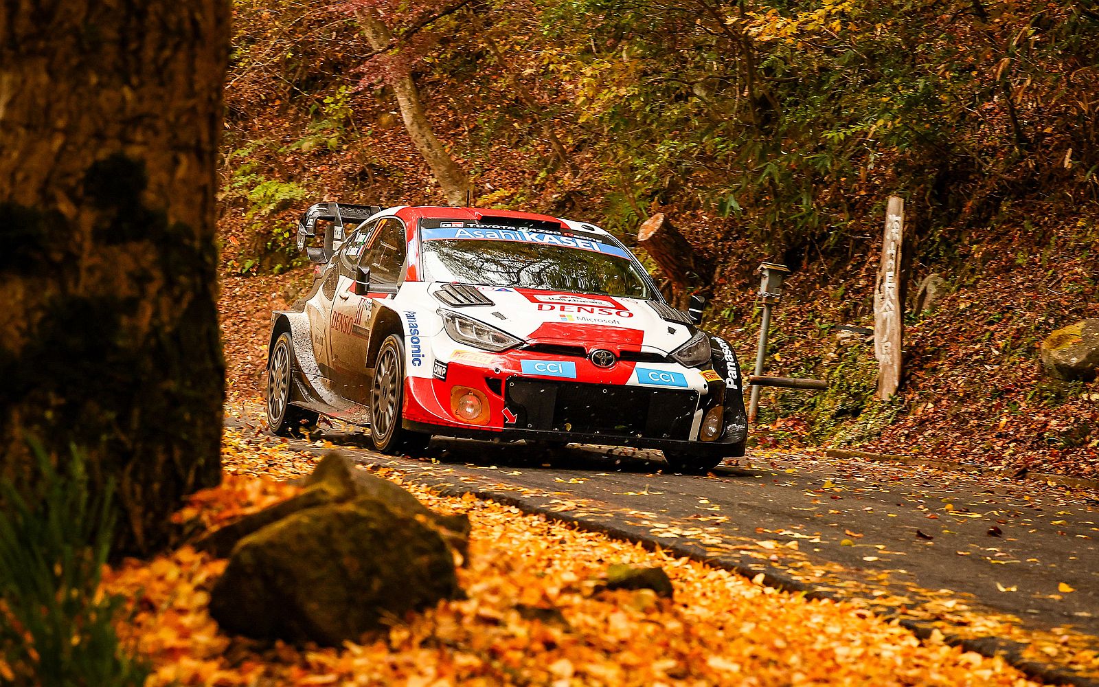 2023 WRC result after Round 13: Rally Japan - Toyota UK Magazine