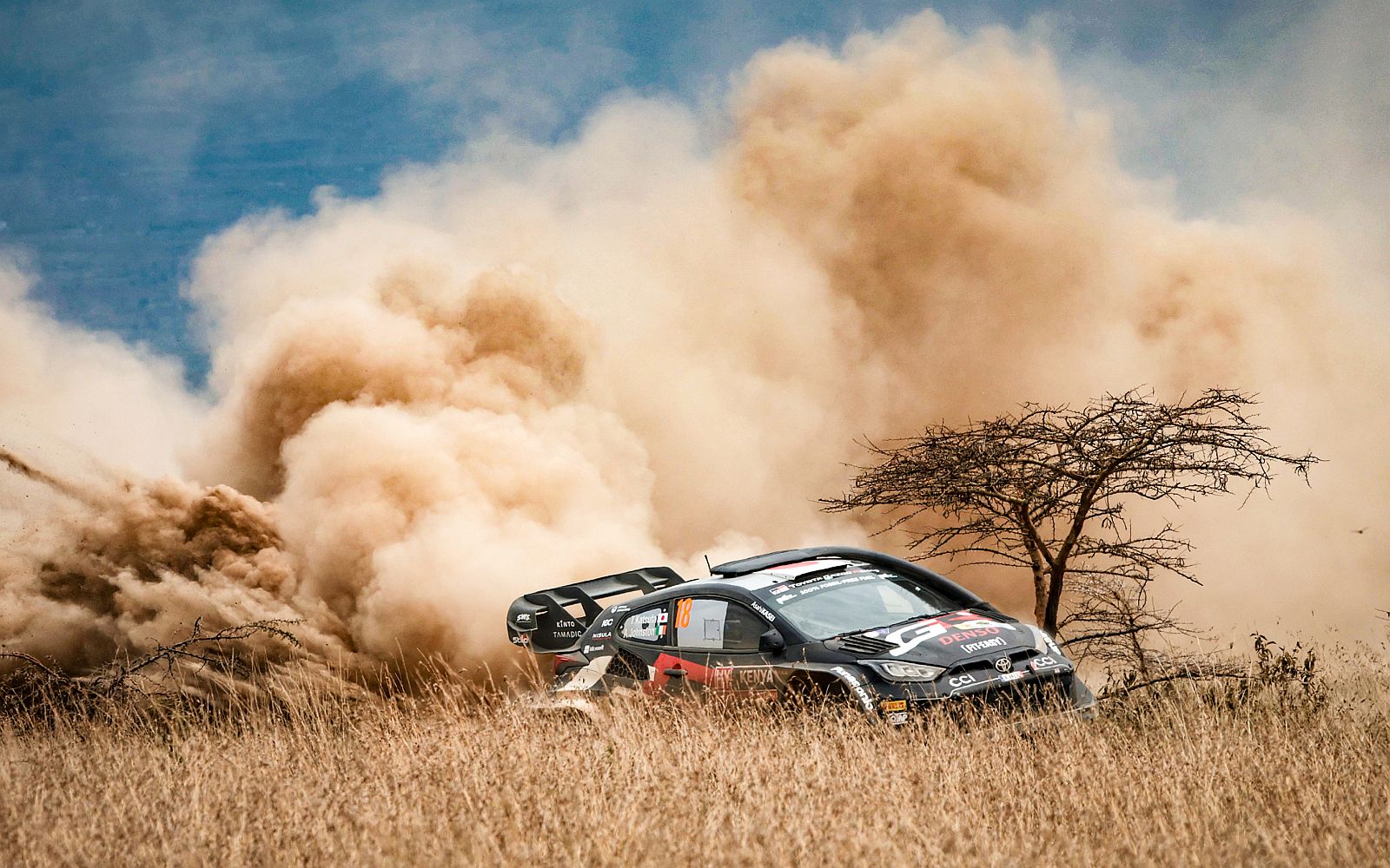 WRC 2024 result after Round 3: Safari Rally Kenya - Toyota UK Magazine