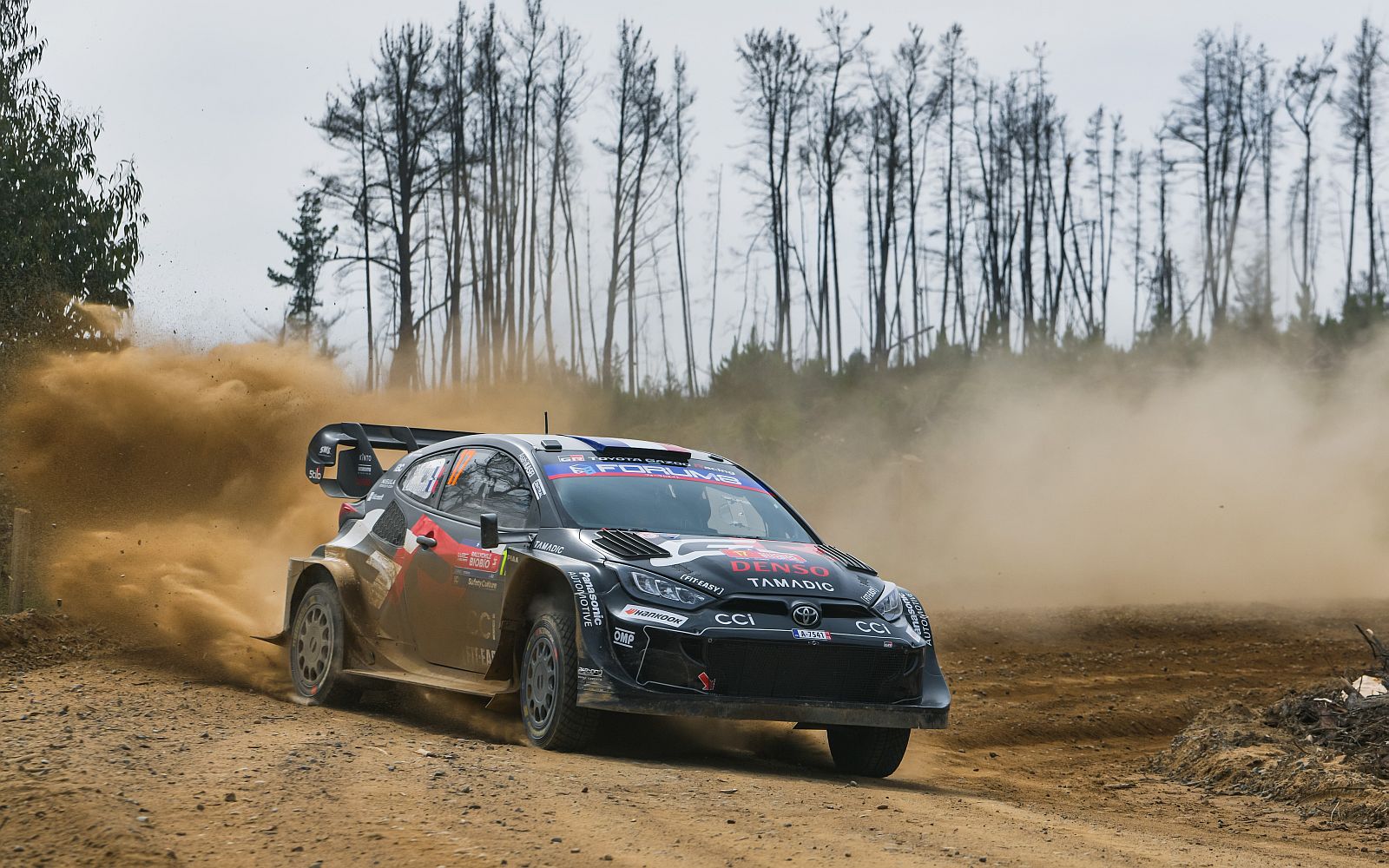 WRC 2025 result after Round 11: Rally Chile - Toyota UK Magazine
